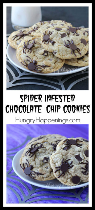Spider Infested Chocolate Chip Cookies - Creepy Halloween Treats