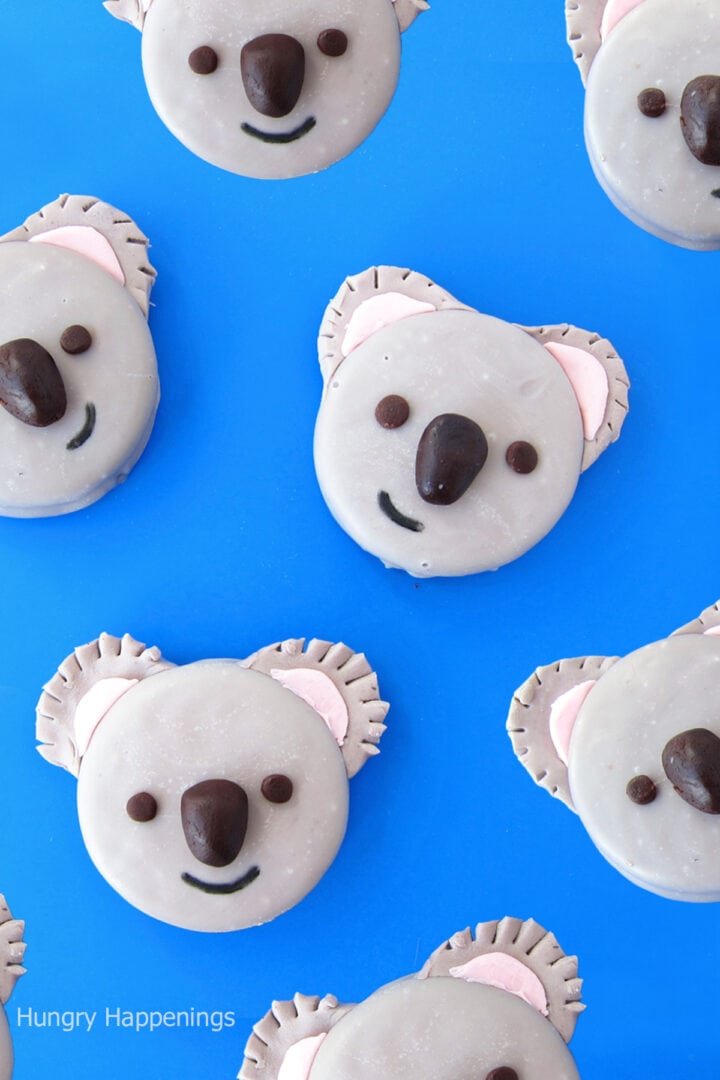 Koala Cookies | Hungry Happenings