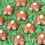 Farm Animal Pretzel Pops - Decorated Chocolate Covered Pretzels