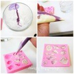 Chocolate Shells | Hungry Happenings