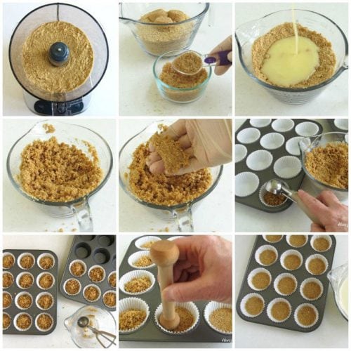 Mini Cheesecakes Served Plain or With Your Favorite Toppings