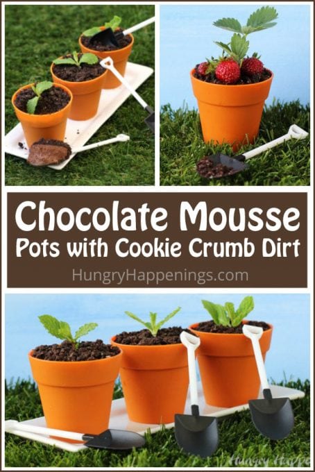 Chocolate Mousse Pots with Cookie Crumb Dirt RECIPE VIDEO