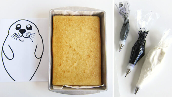 Seal Cake | Hungry Happenings